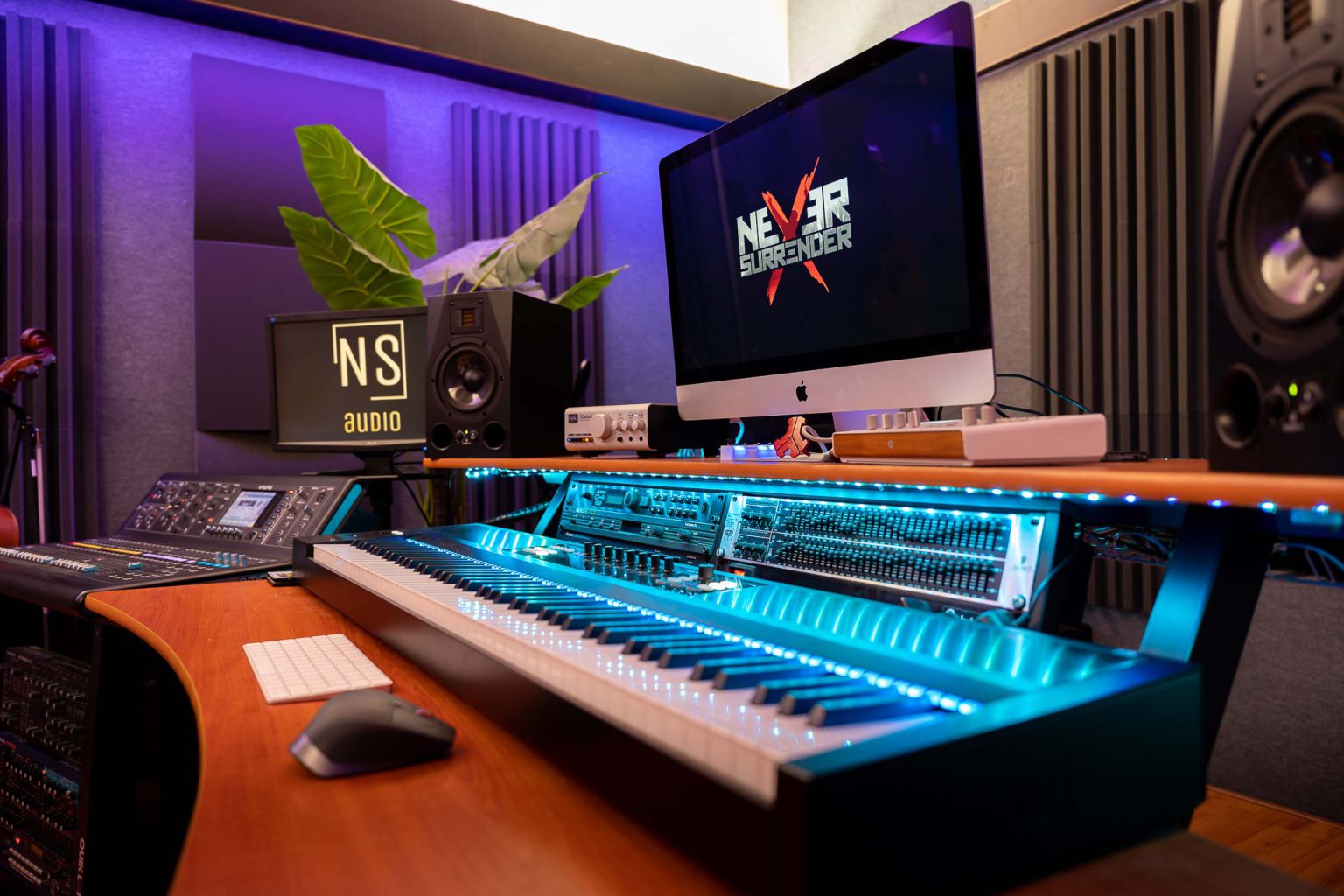 Home - NS Audio | Never Surrender